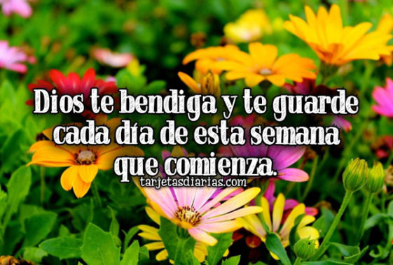 DIOS TE BENDIGA Y TE GUARDE CADA DÍA DE ESTA SEMANA QUE COMIENZA ...