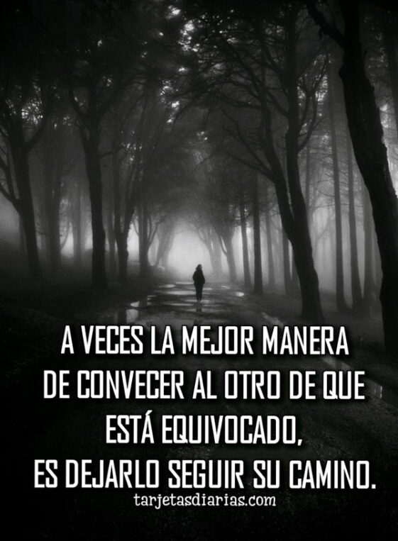 A VECES LA MEJOR MANERA DE CONVENCER AL OTRO DE QUE ESTÁ EQUIVOCADO, ES ...