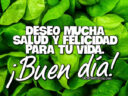 DESEO MUCHA SALUD Y FELICIDAD PARA TU VIDA ¡BUEN DÍA! - Tarjetas Diarias