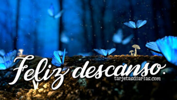 FELIZ DESCANSO - Tarjetas Diarias