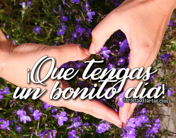 ¡QUE TENGAS UN BONITO DÍA! - Tarjetas Diarias