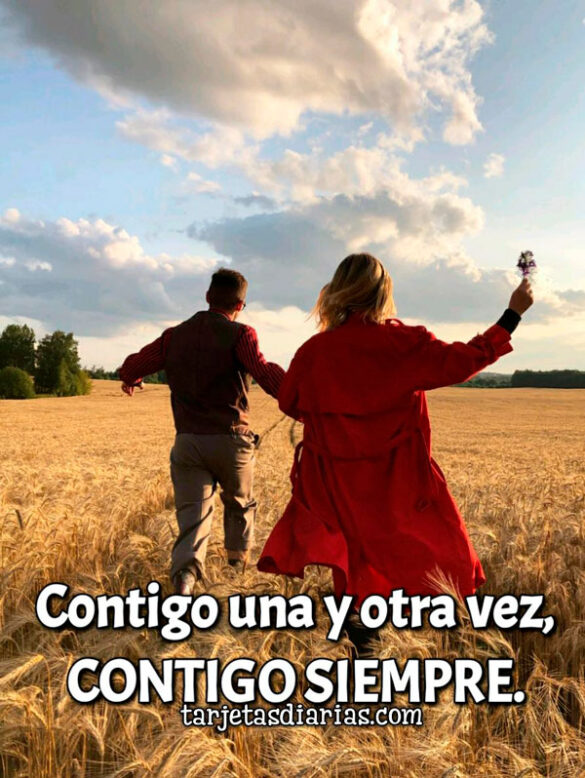 CONTIGO UNA Y OTRA VEZ, CONTIGO SIEMPRE - Tarjetas Diarias