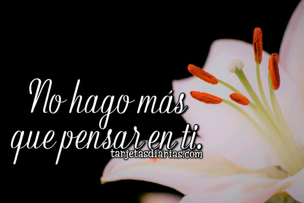 NO HAGO MÁS QUE PENSAR EN TI - Tarjetas Diarias