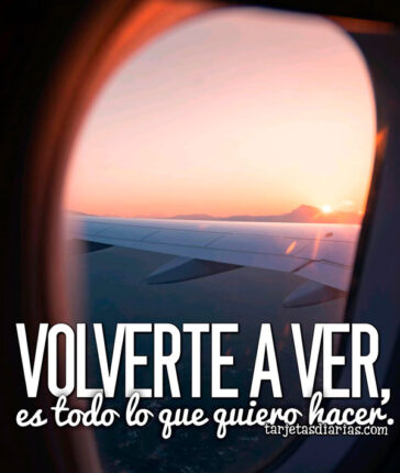 VOLVERTE A VER, ES TODO LO QUE QUIERO HACER - TarjetasDiarias.com