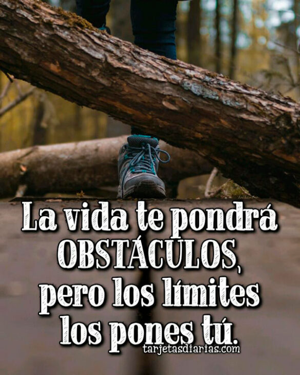 LA VIDA TE PONDRÁ OBSTÁCULOS, PERO LOS LÍMITES LOS PONES TÚ - Tarjetas ...