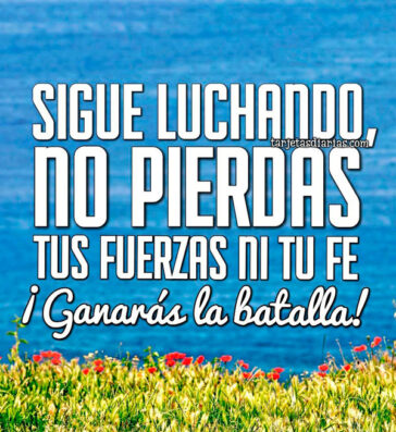 SIGUE LUCHANDO, NO PIERDAS TUS FUERZAS NI TU FE ¡GANARÁS LA BATALLA ...