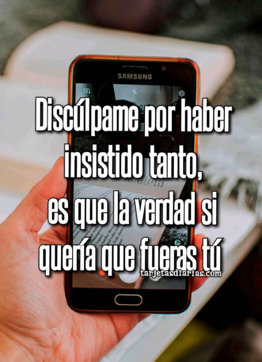 DISCÚLPAME POR HABER INSISTIDO TANTO, ES QUE LA VERDAD SI QUERÍA QUE ...