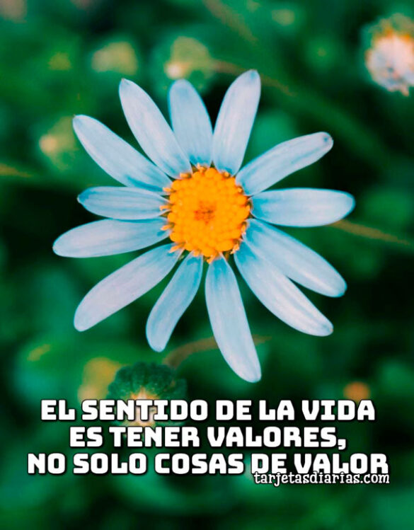 EL SENTIDO DE LA VIDA ES TENER VALORES, NO SOLO COSAS DE VALOR ...