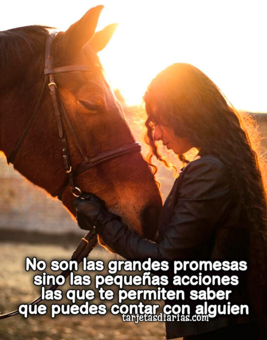 NO SON LAS GRANDES PROMESAS SINO LAS PEQUEÑAS ACCIONES LAS QUE TE ...