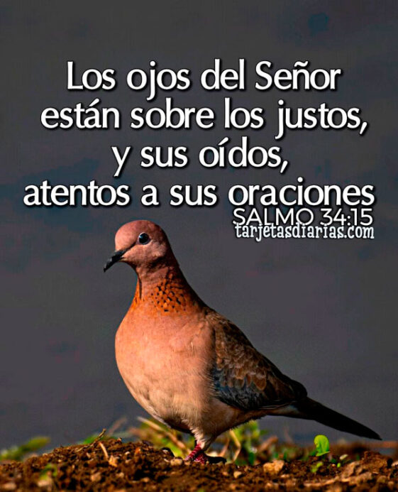 LOS OJOS DEL SEÑOR ESTÁN SOBRE LOS JUSTOS, Y SUS OÍDOS, ATENTOS A SUS ...