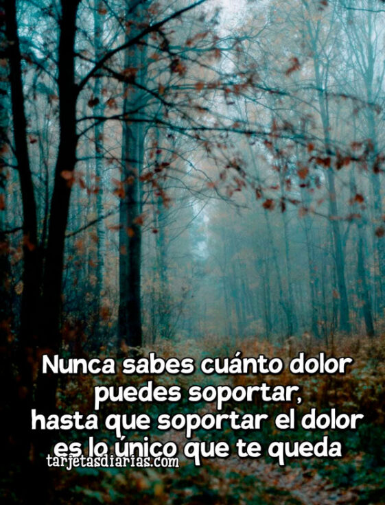 NUNCA SABES CUÁNTO DOLOR PUEDES SOPORTAR, HASTA QUE SOPORTAR EL DOLOR ...