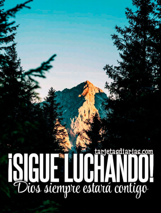 ¡SIGUE LUCHANDO! DIOS SIEMPRE ESTARÁ CONTIGO - Tarjetas Diarias