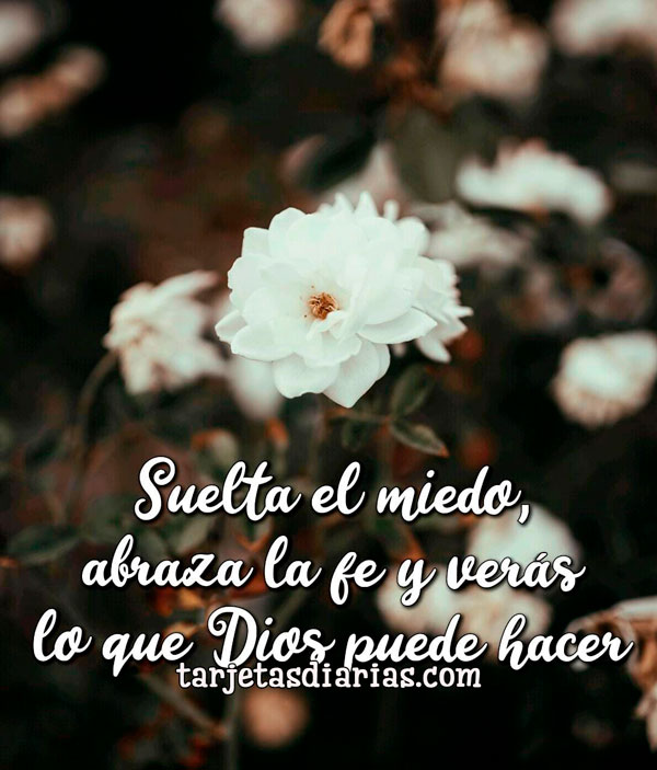 SUELTA EL MIEDO, ABRAZA LA FE Y VERÁS LO QUE DIOS PUEDE HACER ...