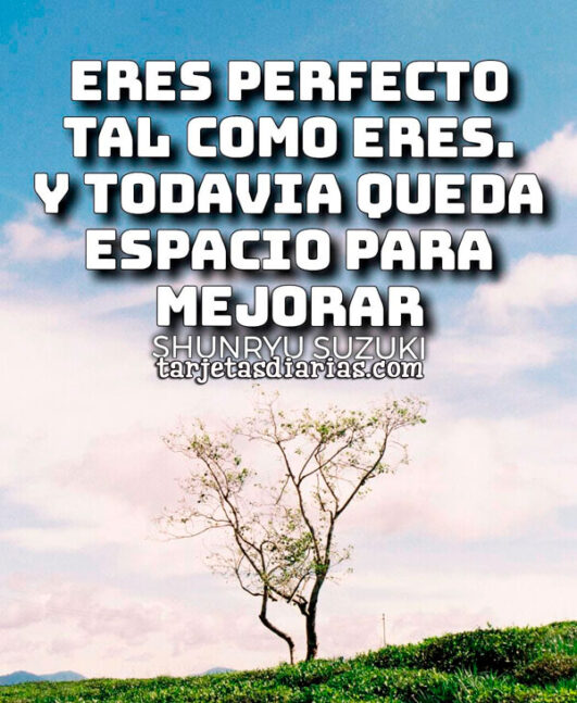 ERES PERFECTO TAL COMO ERES. Y TODAVÍA QUEDA ESPACIO PARA MEJORAR ...