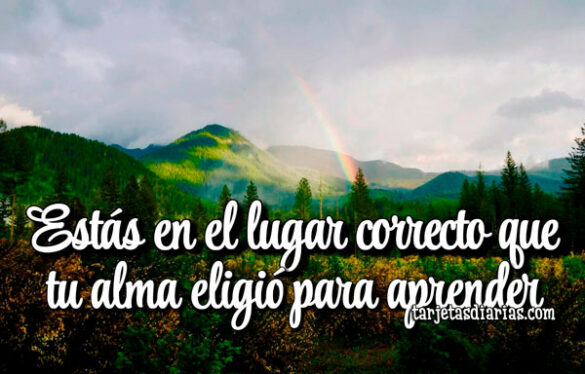 ESTÁS EN EL LUGAR CORRECTO QUE TU ALMA ELIGIÓ PARA APRENDER - Tarjetas ...