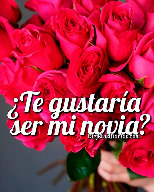 TE GUSTAR A SER MI NOVIA Tarjetas Diarias