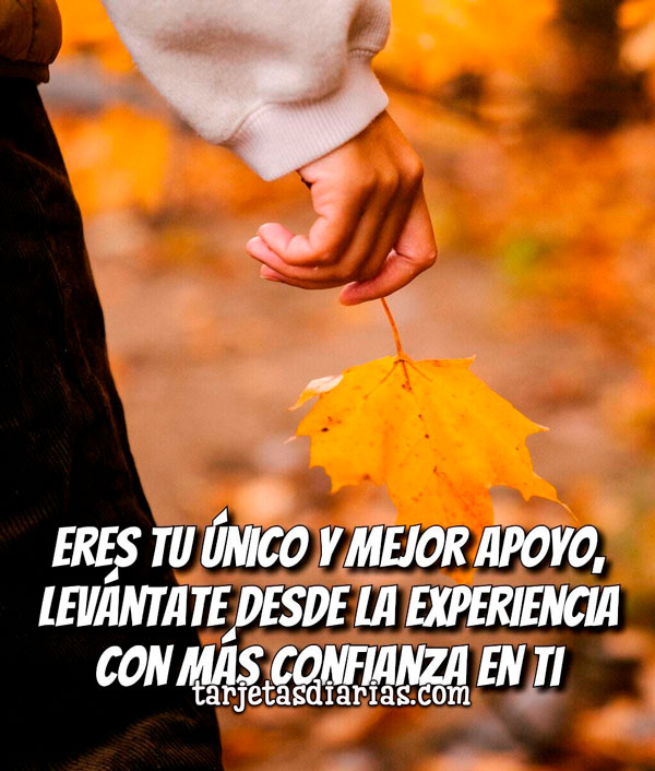 ERES TU ÚNICO Y MEJOR APOYO - Tarjetas Diarias