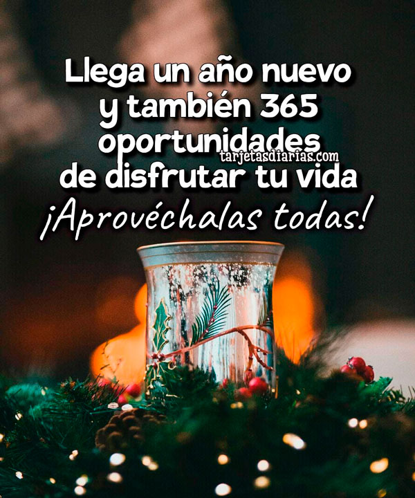 LLEGA UN AÑO NUEVO Y TAMBIÉN 365 OPORTUNIDADES DE DISFRUTAR TU VIDA ...