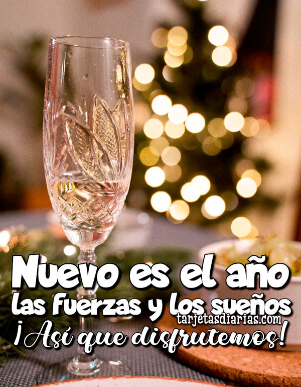 NUEVO ES EL AÑO, LAS FUERZAS Y LOS SUEÑOS ¡ASÍ QUE DISFRUTEMOS ...