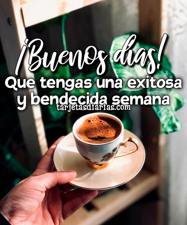 QUE TENGAS UNA EXITOSA Y BENDECIDA SEMANA - Tarjetas Diarias