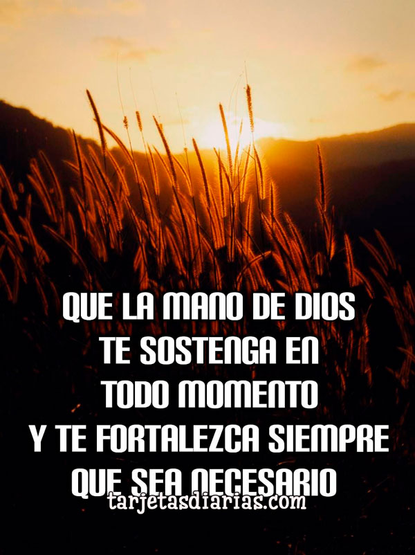 QUE LA MANO DE DIOS TE SOSTENGA EN TODO MOMENTO - Tarjetas Diarias