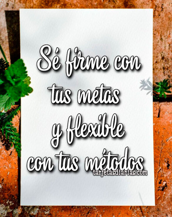 SÉ FIRME CON TUS METAS Y FLEXIBLE CON TUS MÉTODOS - Tarjetas Diarias