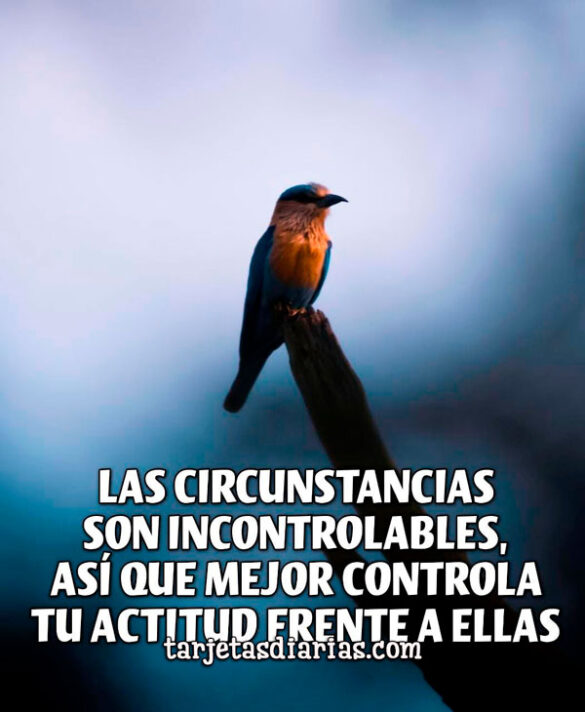 LAS CIRCUNSTANCIAS SON INCONTROLABLES, ASÍ QUE MEJOR CONTROLA TU ...