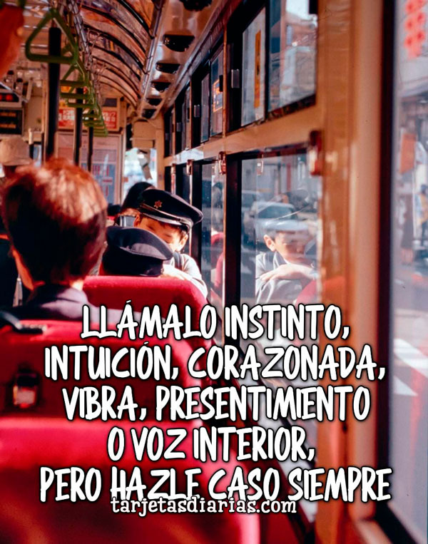 LLÁMALO INSTINTO, INTUICIÓN, CORAZONADA, PRESENTIMIENTO O VOZ INTERIOR ...