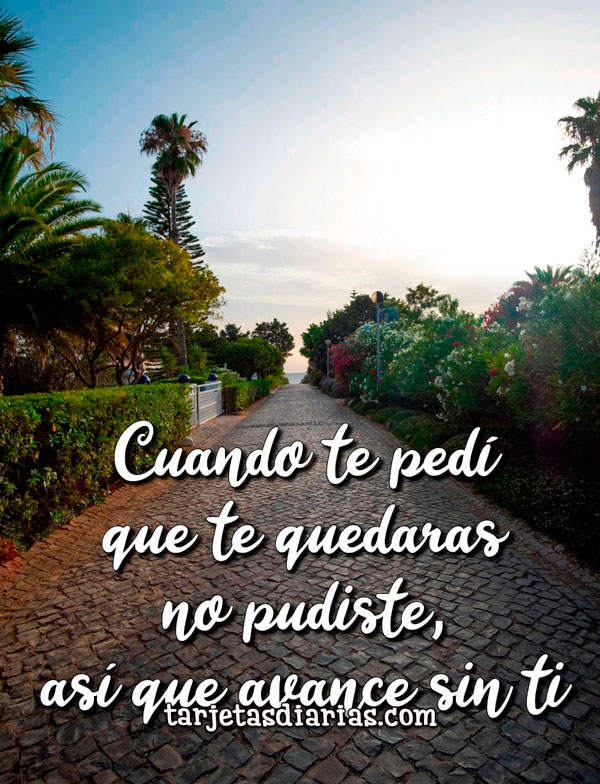 CUANDO TE PEDÍ QUE TE QUEDARAS NO PUDISTE, ASÍ QUE AVANCÉ SIN TI ...