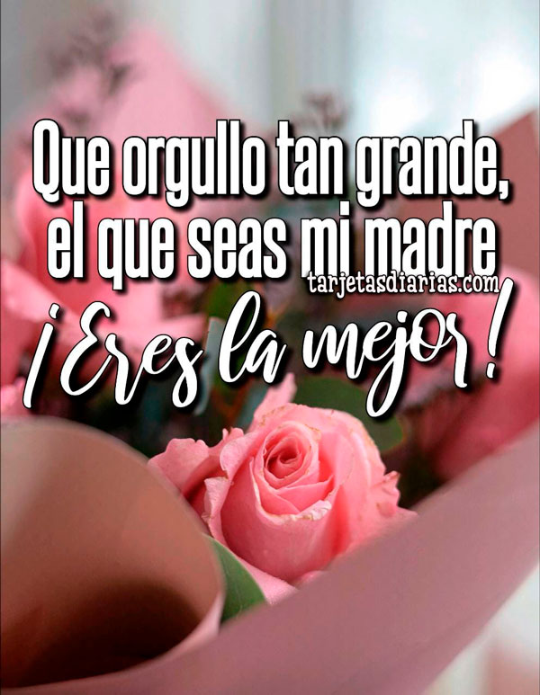 Que Orgullo Tan Grande El Que Seas Mi Madre Tarjetas Diarias