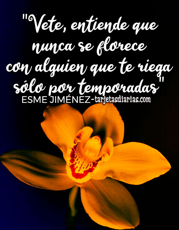 “VETE, ENTIENDE QUE NUNCA SE FLORECE CON ALGUIEN QUE TE RIEGA POR ...