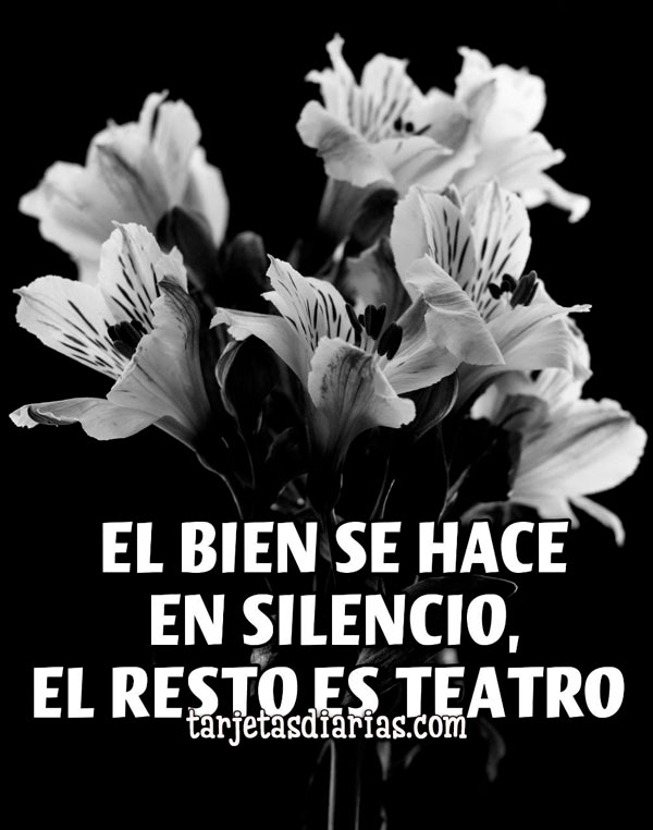 EL BIEN SE HACE EN SILENCIO, EL RESTO ES TEATRO - Tarjetas Diarias