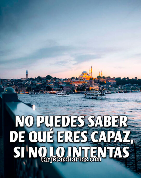 NO PUEDES SABER DE QUÉ ERES CAPAZ, SI NO LO INTENTAS - Tarjetas Diarias