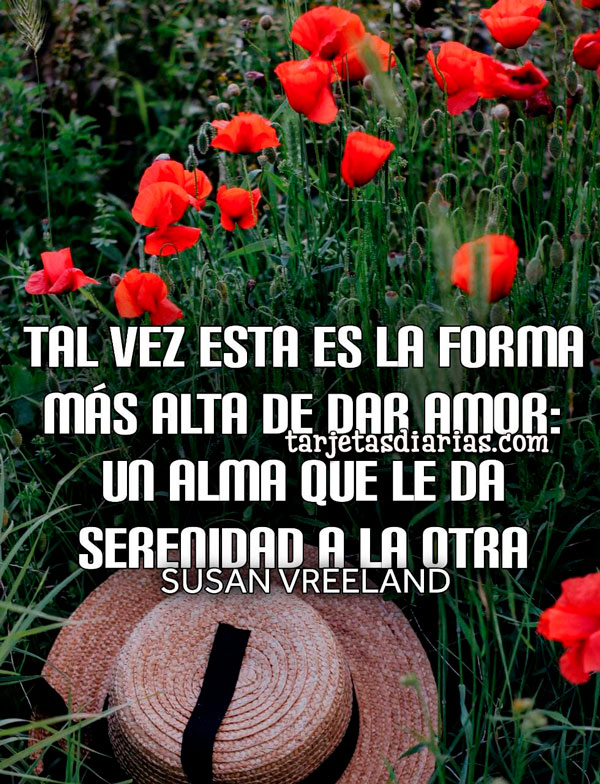 TAL VEZ ESTA ES LA FORMA MÁS ALTA DE DAR AMOR - Tarjetas Diarias
