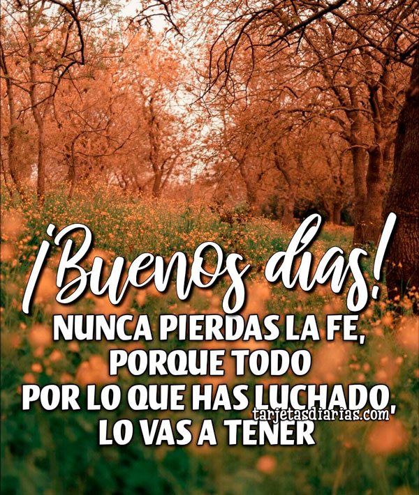 ¡BUENOS DÍAS! NUNCA PIERDAS LA FE, PORQUE TODO POR LO QUE HAS LUCHADO ...