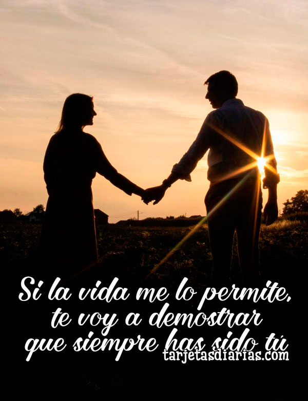 SI LA VIDA ME LO PERMITE, TE VOY A DEMOSTRAR QUE SIEMPRE HAS SIDO TÚ ...
