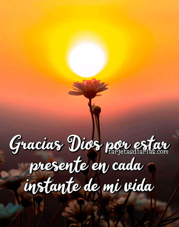GRACIAS DIOS POR ESTAR PRESENTE EN CADA INSTANTE DE MI VIDA - Tarjetas ...