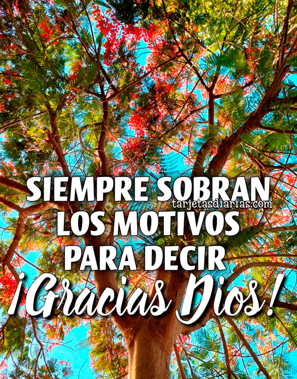 SIEMPRE SOBRAN MOTIVOS PARA DECIR ¡GRACIAS DIOS! - Tarjetas Diarias