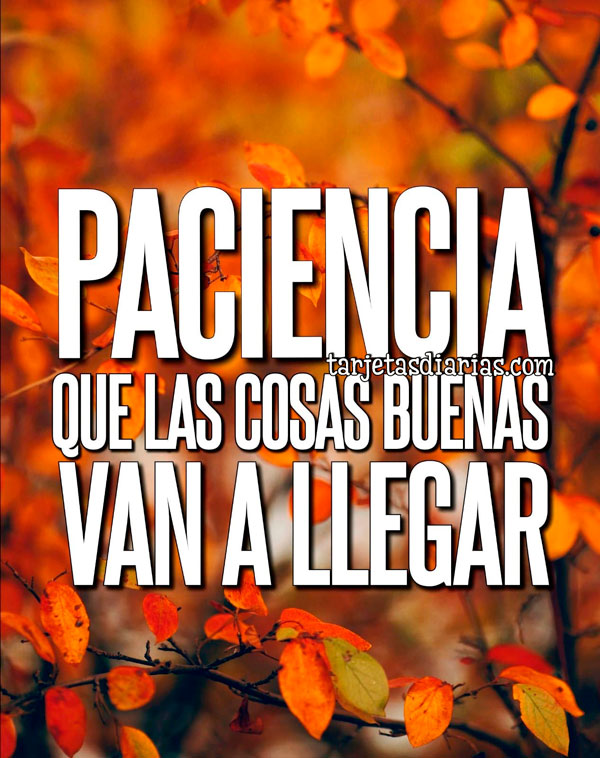 PACIENCIA QUE LAS COSAS BUENAS VAN A LLEGAR - Tarjetas Diarias