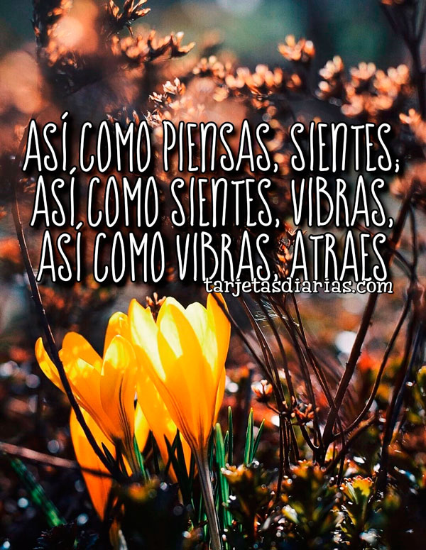 ASÍ COMO PIENSAS, SIENTES; ASÍ COMO SIENTES, VIBRAS, ASÍ COMO VIBRAS ...
