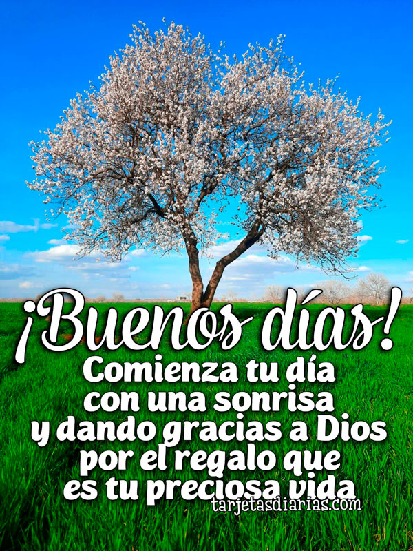 ¡BUENOS DÍAS! COMIENZA TU DÍA CON UNA SONRISA Y DANDO GRACIAS A DIOS ...