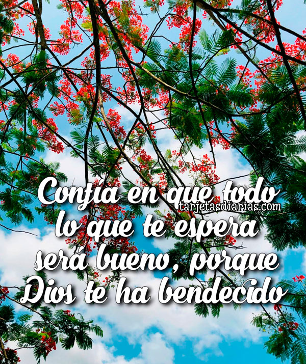 CONFÍA EN QUE TODO LO QUE TE ESPERA SERÁ BUENO, PORQUE DIOS TE HA ...