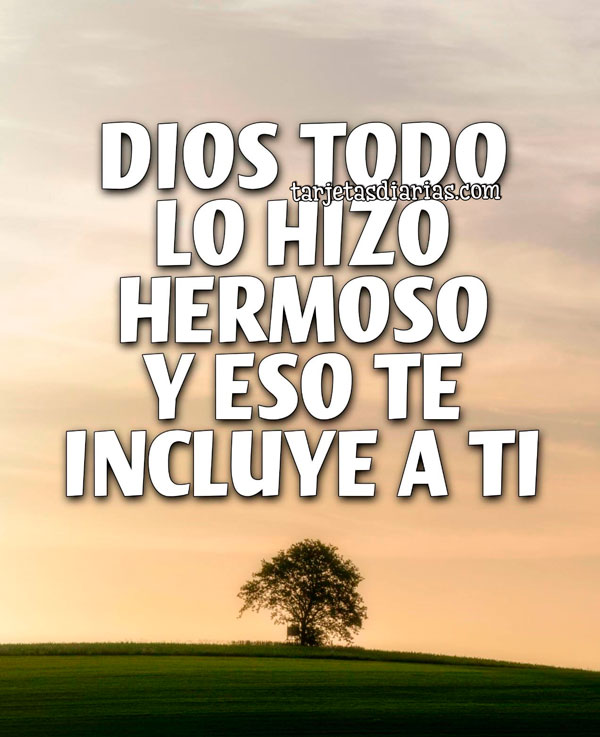 DIOS TODO LO HIZO HERMOSO Y ESO TE INCLUYE A TI - Tarjetas Diarias