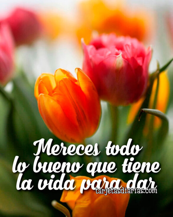 MERECES TODO LO BUENO QUE TIENE LA VIDA PARA DAR - Tarjetas Diarias