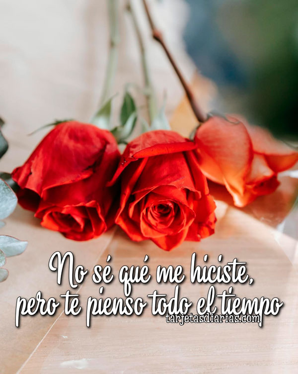 NO SÉ QUÉ ME HICISTE, PERO TE PIENSO TODO EL TIEMPO - Tarjetas Diarias