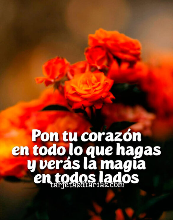 PON TU CORAZÓN EN TODO LO QUE HAGAS Y VERÁS LA MAGIA EN TODOS LADOS ...