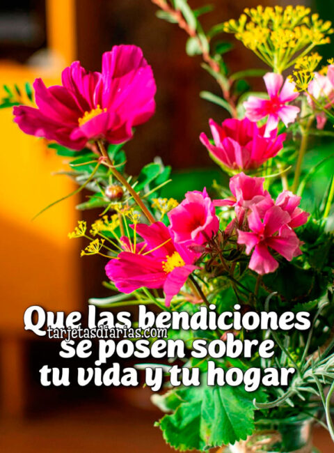 ¡FELIZ CUMPLEAÑOS! RECIBE MUCHO AMOR, UNA LLUVIA DE BENDICIONES, SALUD ...