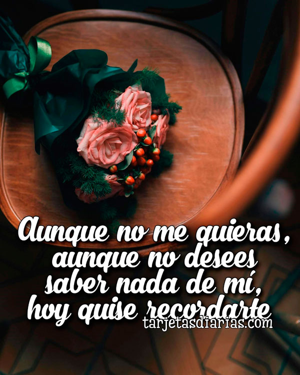 AUNQUE NO ME QUIERAS, AUNQUE NO DESEES SABER NADA DE MÍ, HOY QUISE ...