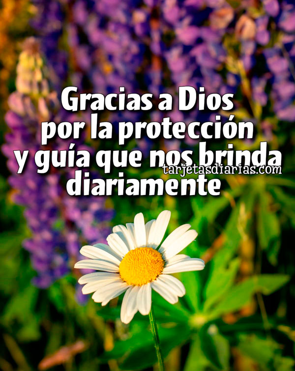 GRACIAS A DIOS POR LA PROTECCIÓN Y GUÍA QUE NOS BRINDA DIARIAMENTE ...