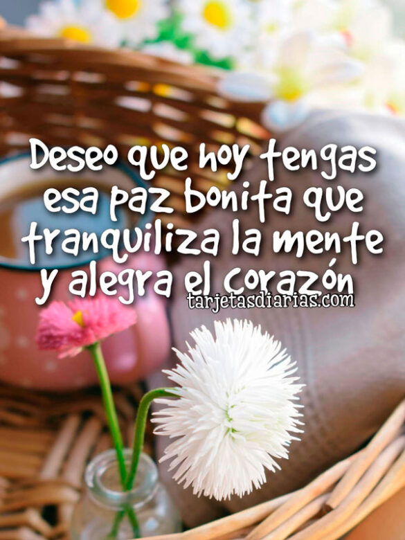 DESEO QUE HOY TENGAS ESA PAZ BONITA QUE TRANQUILIZA LA MENTE Y ALEGRA ...